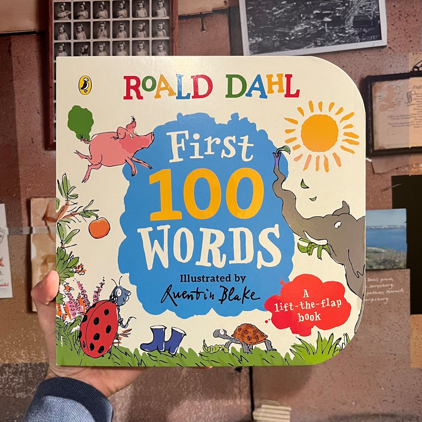 Roald Dahl First 100 Words - board book – The Roald Dahl Museum Online Shop