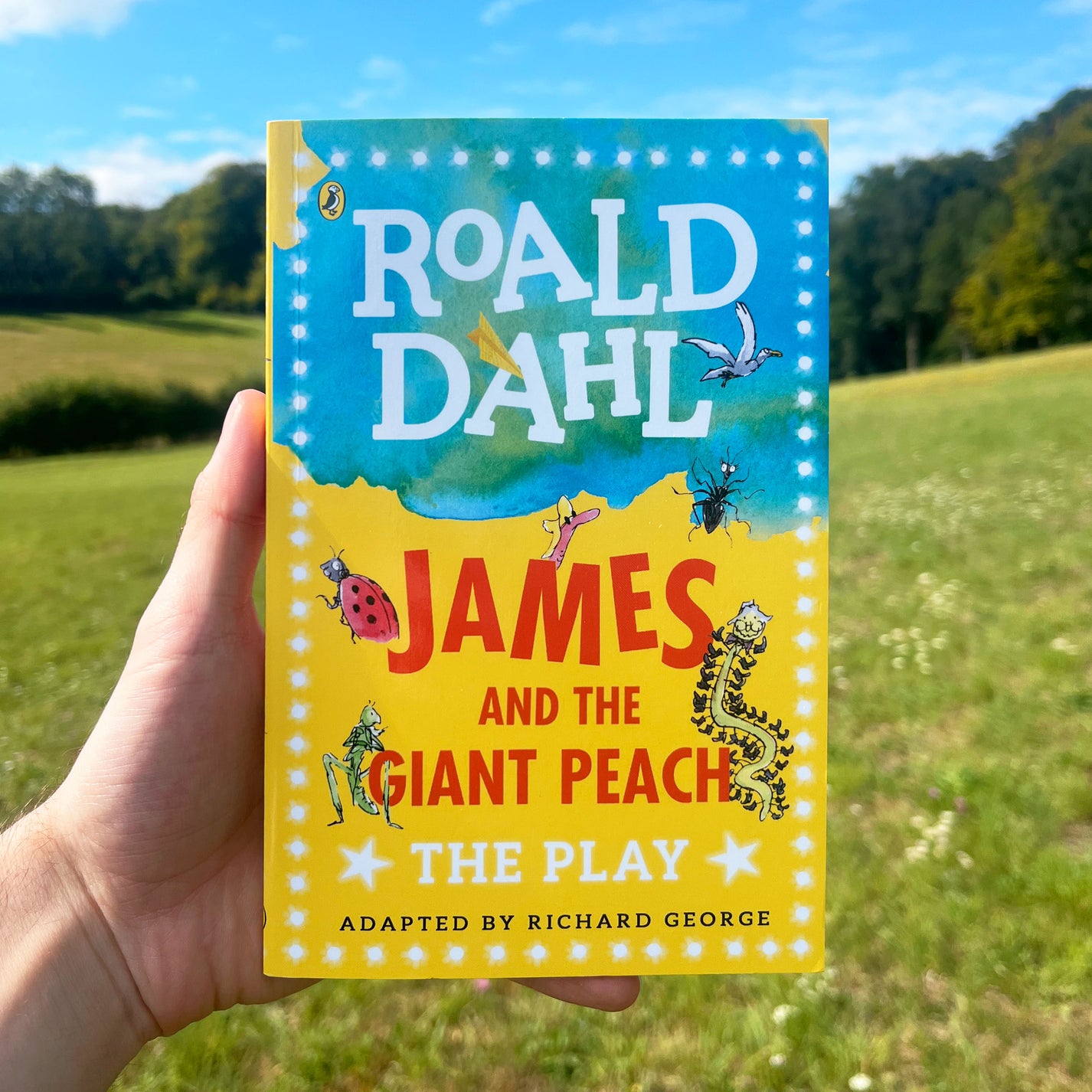 James and the Giant Peach: The Play – The Roald Dahl Museum Online Shop